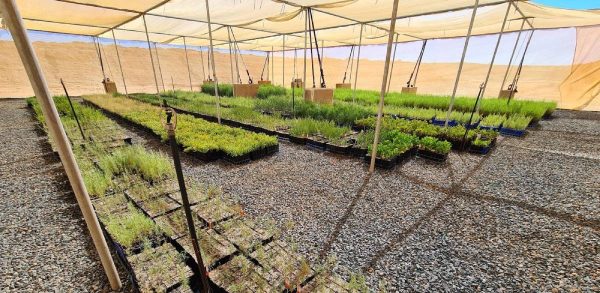 Our Completed Projects - NTC Contracting