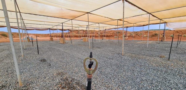 Our Completed Projects - NTC Contracting